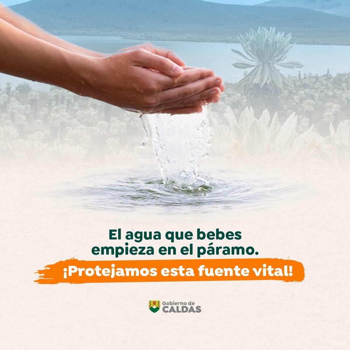 Hacer turismo de contemplación en el PNNN: llamado de la Secretaría de ...